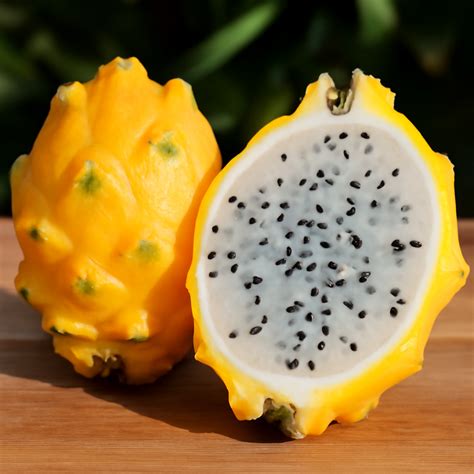 Yellow Dragon Fruit A Complete Guide To Growing And Enjoying This Exo