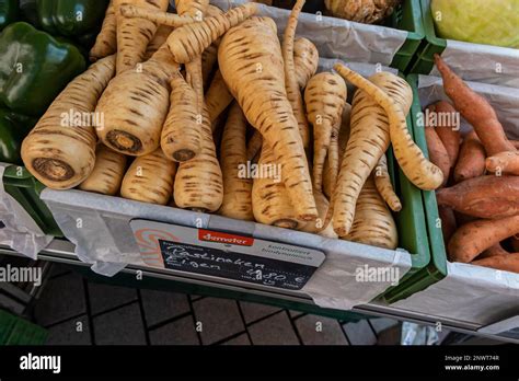Root Vegetable Parsnip Display At The Weekly Market Market In Stuttgart Baden Wuerttemberg