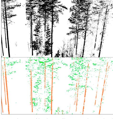 Figure 4 From Voxel Based Automatic Tree Detection And Parameter Retrieval From Terrestrial