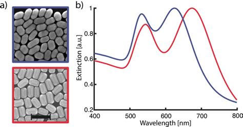 Sem Images And Ensemble Extinction Spectra For Two Representative