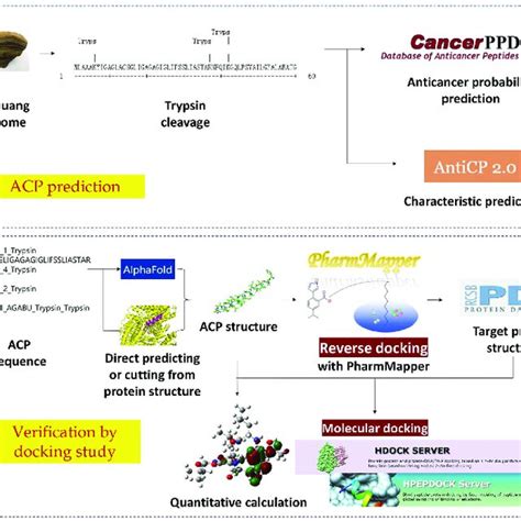 Schematic Illustration Of The Steps Involved In The In Silico Discovery Download Scientific