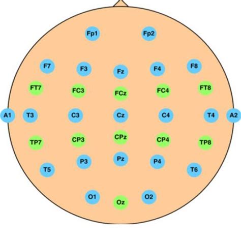 The Layout Of The Electrodes In The Eeg Cap Used For The Experiments In Download Scientific