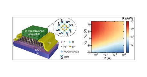 Enhanced Photodetection Performance Of An In Situ Coreshell Perovskite