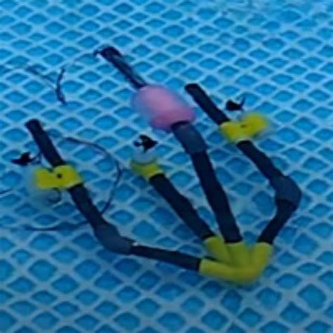 Arduino Puente H Y Sensor Ultrasónico Blog De Tecnología Ies José