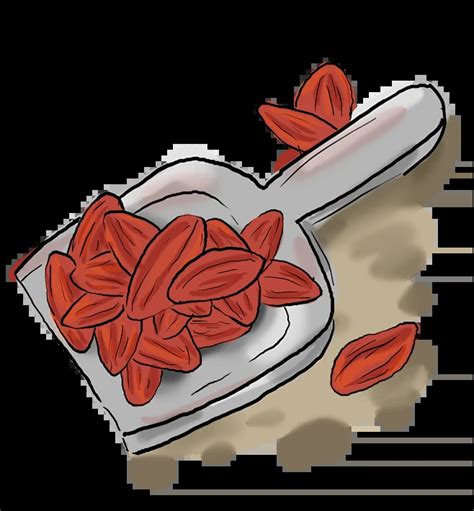 中药 药材 枸杞 花瓣网