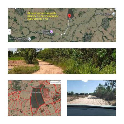 ขายที่ดิน90 ไร่พร้อมไม้ยูคาเต็มพื้นที่ อ นาเชือก จ มหาสารคามขายยกแปลง 7 ล้าน ที่ดินร้อยแปด คอม