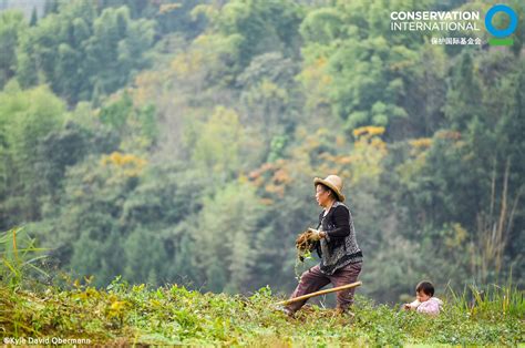 保护国际基金会 Conservation International China 俯首躬耕田中，身旁小儿嬉戏——这就是ci保护国际基金会
