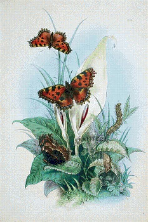 Схема вышивки «Бабочки №2689981 Вышивка крестом