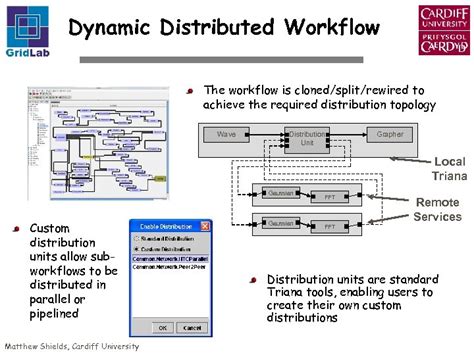 programming scientific and distributed workflow with triana services