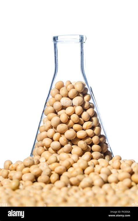 Soybean Genetically Modified Organisms At Joshua Pike Blog