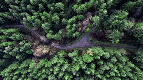 How To Set Up Graphql In Your React Application By Vlad Mihet Javascript In Plain English