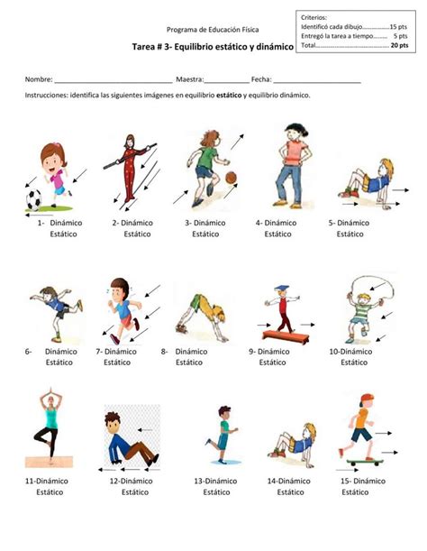 Ejercicios De Equilibrio Dinámico El Entrenamiento Del Equilibrio