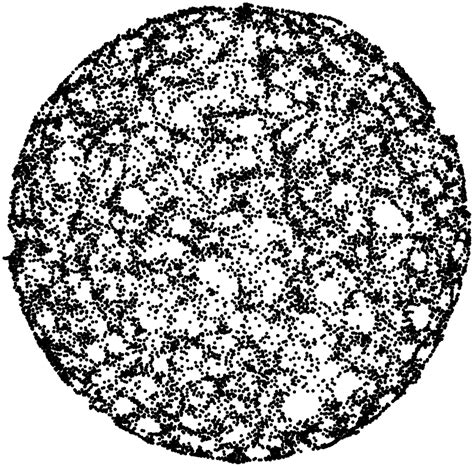 Recovering Area Shapes From Anonymous Contact Tracing Data Shaping