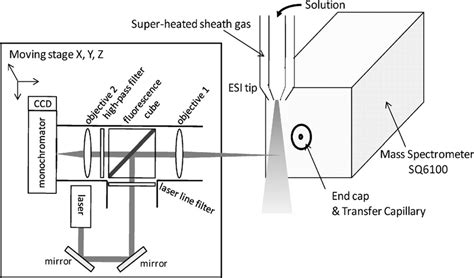 Schematic Diagram Of The Experimental Setup Used To Probe Fluorescence Download Scientific