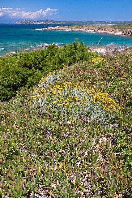 Vignola Cala Piscina Sardegna Italy Sardinia Italy Corsica