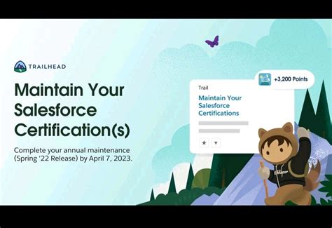 Mohammed Rehanuddin On Linkedin Maintenance Salesforce Credentials Certification