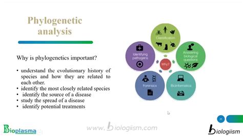 [video] sana hosseini farzad on linkedin bioinformatics phylogenetic