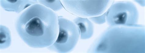 Advantages Of Microfluidizer® Processors For Cell Disruption Microfluidics