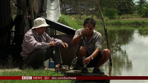 ပင်လယ်ရေပြင် မြင့်တက်လာလို့ ဗီယက်နမ် စိုက်ပျိုးရေး ကျဆင်း Bbc News မြန်မာ