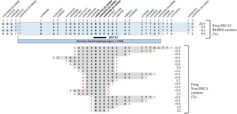 Table 1 From A Recurrent Brca2 Mutation Explains The Majority Of