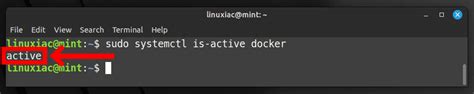 How To Install Docker On Linux Mint A Step By Step Guide