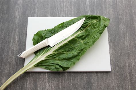 파슬리 셀러리 노팔레인 오이 차드 시금치 와 같은 녹색 채소가 나무 테이블에 앉아 있고 부엌에서 건강한 음식을 준비하기 위해 칼을 든 도마를 자르는 것 0명에 대한 스톡