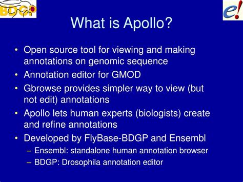 Ppt The Apollo Genome Annotation And Curation Tool Powerpoint