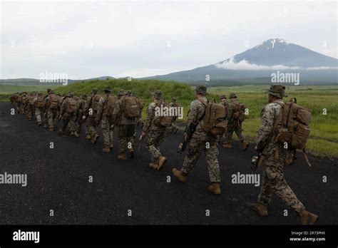 U S Marines With Combat Logistics Battalion 4 Combat Logistics Regiment 3 3rd Marine