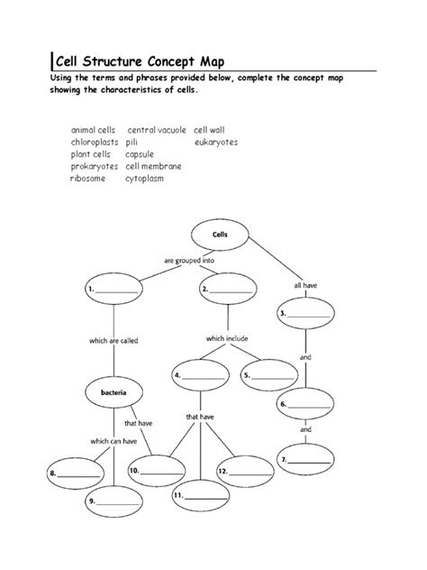 Cell Structure Concept Map Pdf