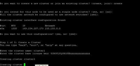 Netapp Library Cluster Setup