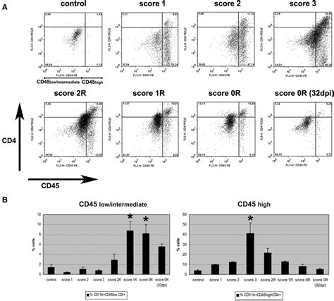 Flow Cytometry Analysis Of Cd45 Cd4 Populations During Eae A