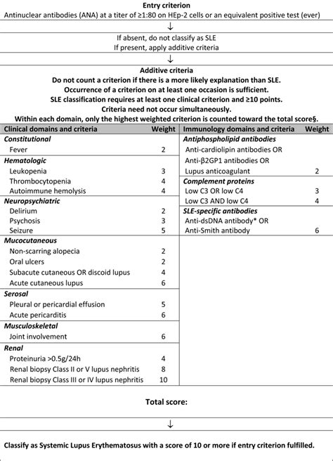Classification Criteria For Systemic Lupus Erythematosus Sle § Download Scientific Diagram