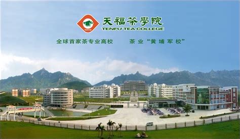 漳州天福茶职业技术学院图册 360百科