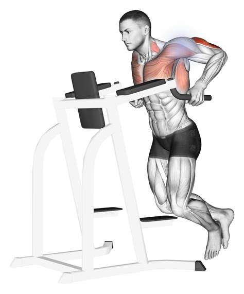 Tricep Dips Proper Form And Technique