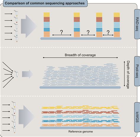 Choosing A Population Genomics Approach