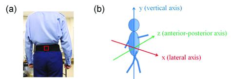 A The Acceleration Sensor Wore By A Subject The Sensor Was Fixed