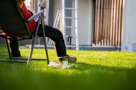 집 밖의 마당에있는 갑판 의자에 페인트 장비를 착용 한 피곤한 남자 뒤뜰에 대한 스톡 사진 및 기타 이미지 뒤뜰 하위 섹션 화창한 Istock