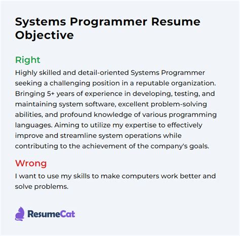 Top 16 Systems Programmer Resume Objective Examples