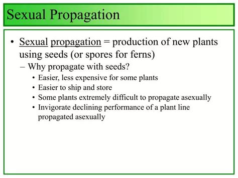 PPT Sexual Propagation Production Of New Plants Using Seeds Or Spores For Ferns PowerPoint