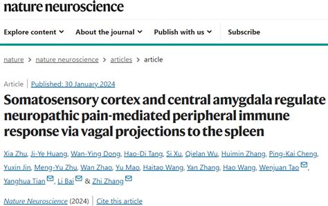 Nat Neurosci：中国科技大学张智等团队合作发现神经性疼痛介导外周免疫反应的新机制 生物研究专区 生物谷