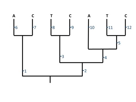 Using The Fitch Algorithm Part Ii Now Show How You
