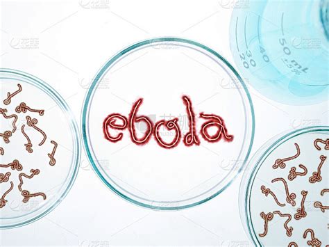 埃博拉病毒