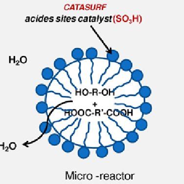 Principle Of The Ester Synthesis In Aqueous Medium Download Scientific Diagram
