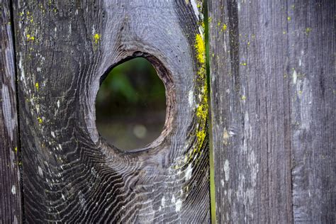 Дырка в заборе (43 фото) - фото - картинки и рисунки: скачать бесплатно