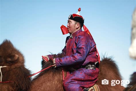 ФОТО Түмэн тэмээний баяр 25 дахь жилдээ