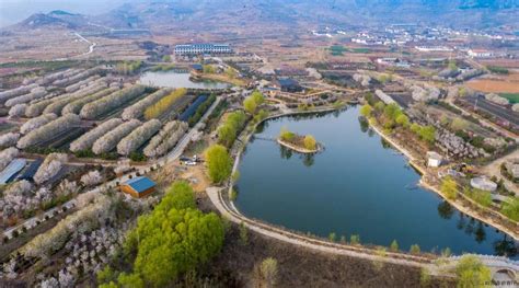 山东省教育厅 泰安市 泰山茶溪谷研学基地