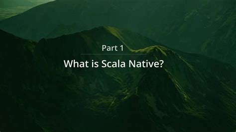 Deep Dive Into The Scala Native Internalspptx