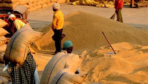 Cabinet Approves Minimum Support Prices Msp For Rabi Crops For