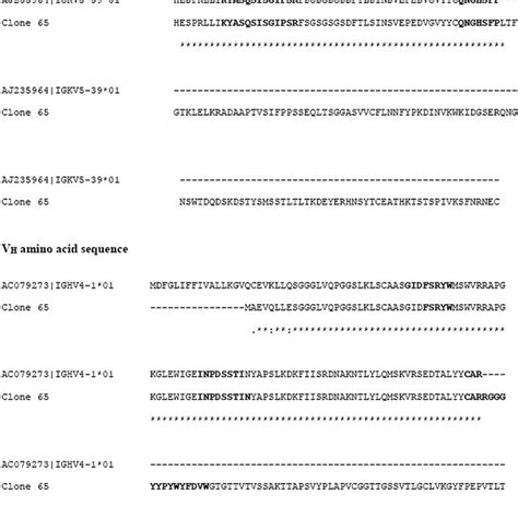 Amino Acid Sequences Of The Variable Heavy And The Light Chains From