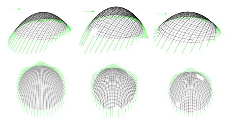 Long Span Timber Gridshells Questions And Architecture